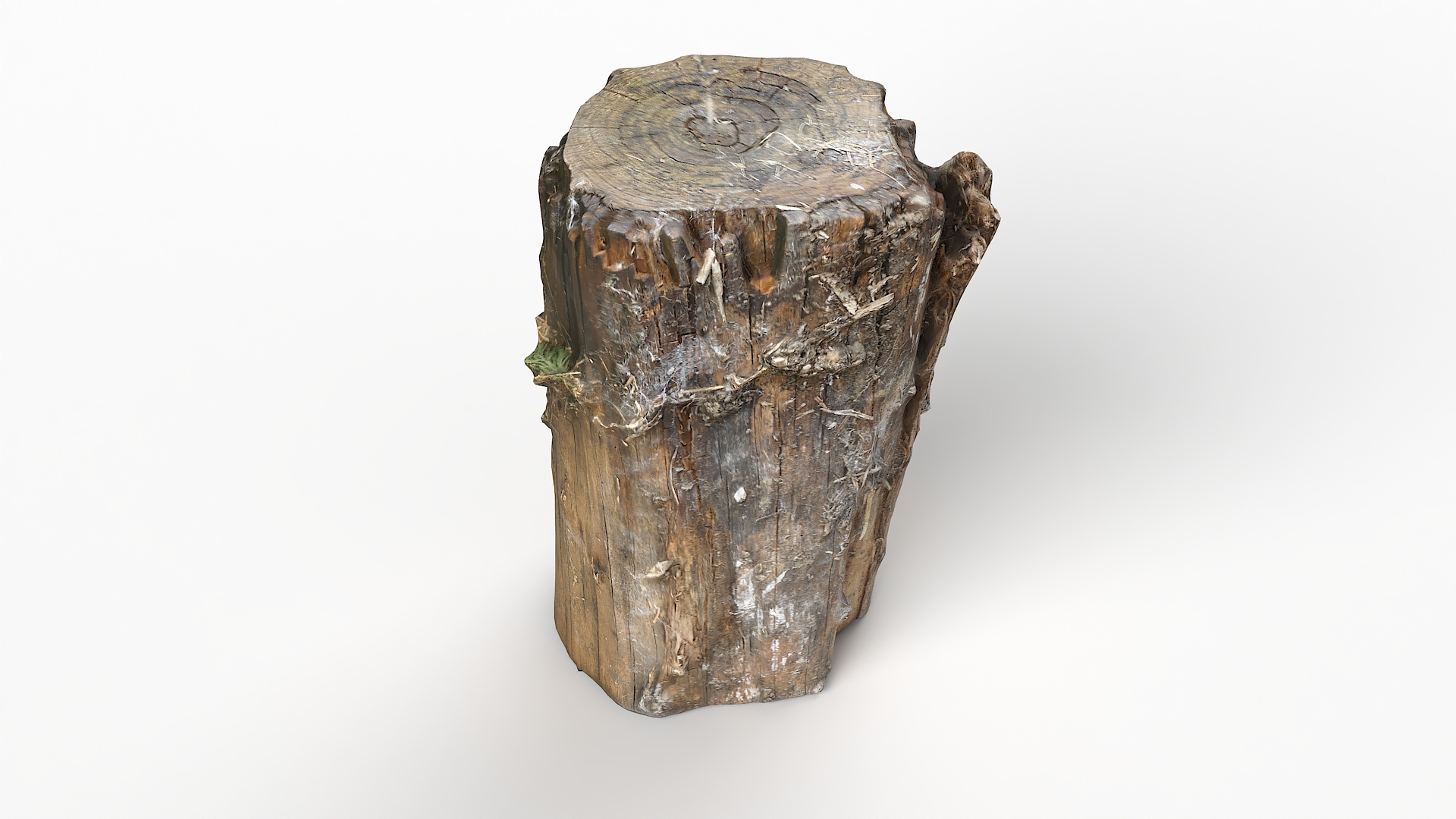 3D Model Tree Stump Collection 14 - TurboSquid 2132877