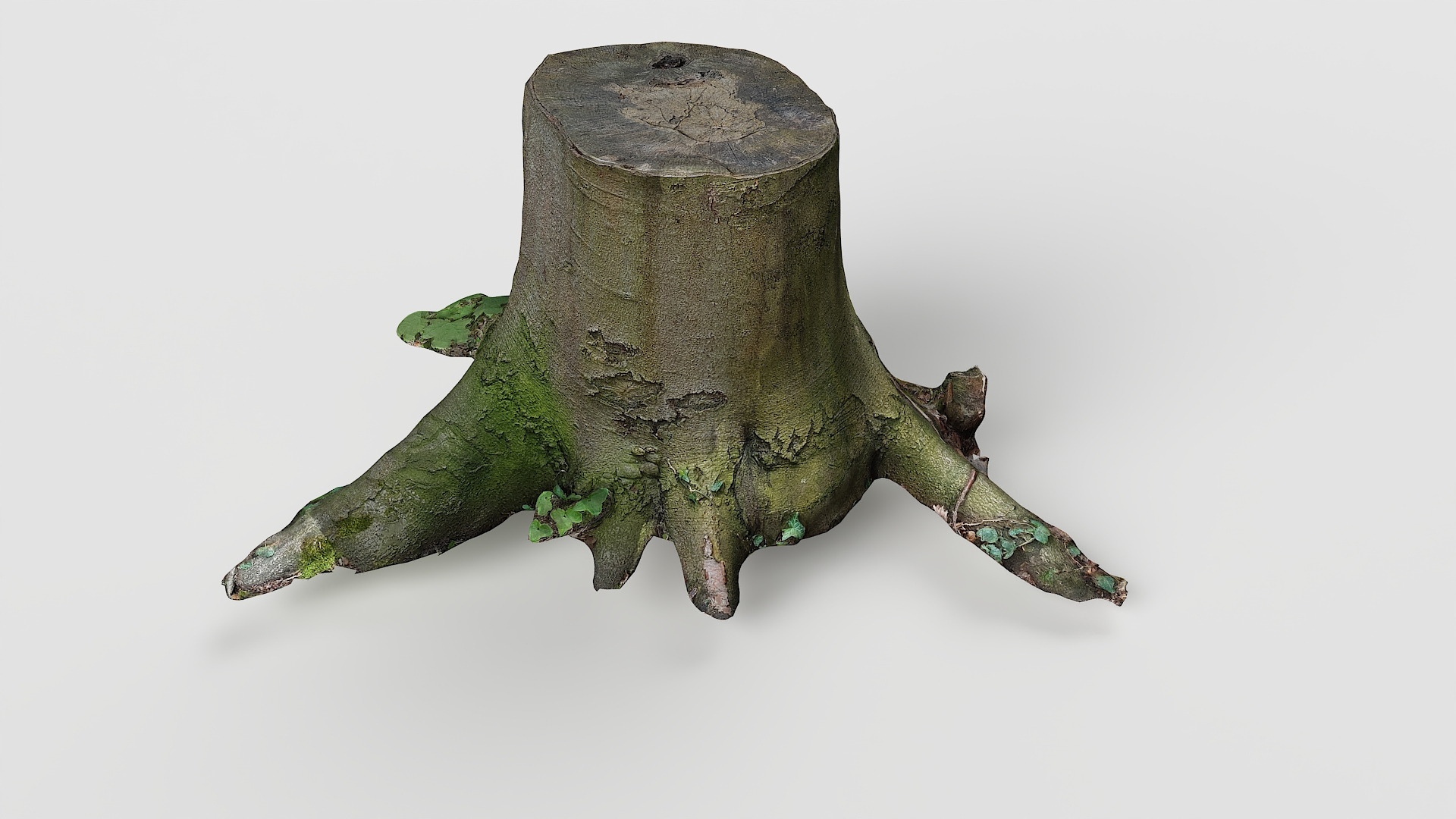 3D Model Tree Stump Collection 14 - TurboSquid 2132877
