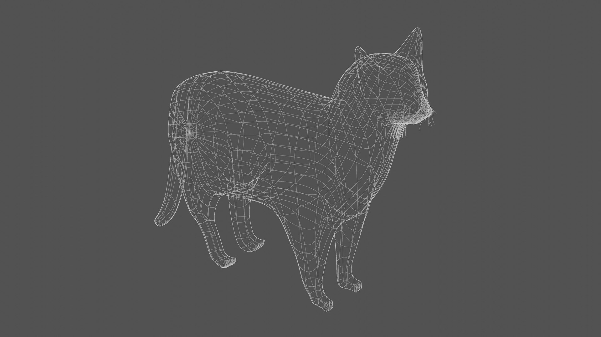 3D Grey cat OBJ - TurboSquid 2096921