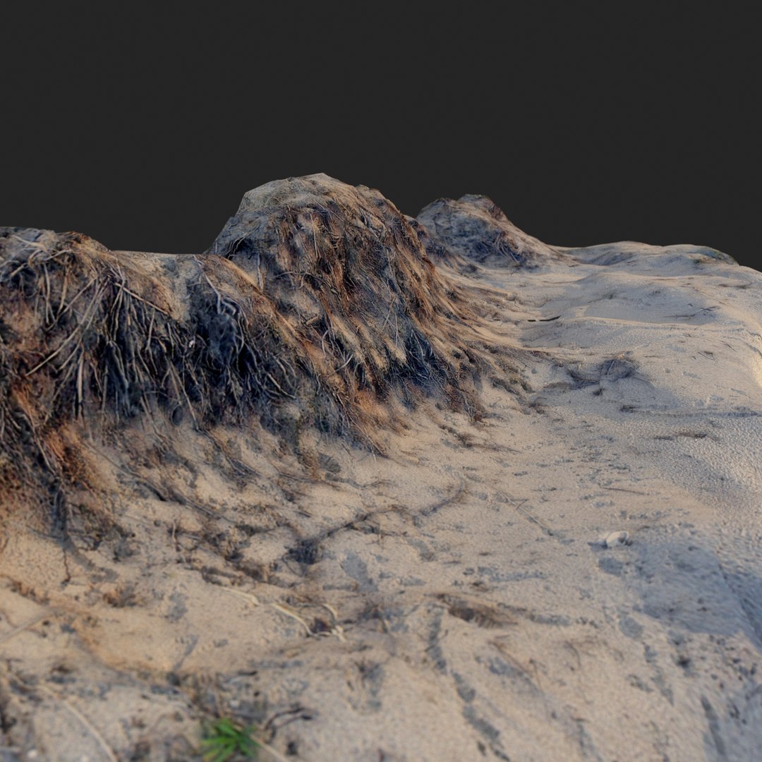 3D Nature Ground Edge 001 - TurboSquid 1186491