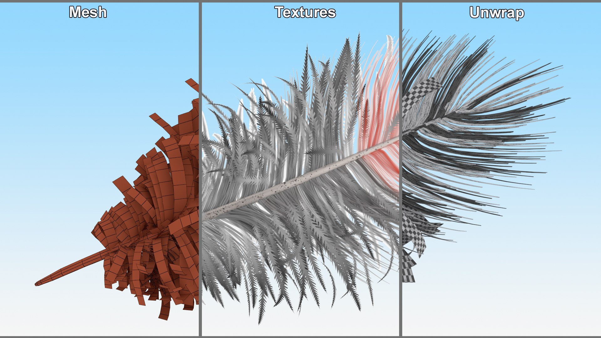 3D Northern Cardinal Feather Model - TurboSquid 2211851
