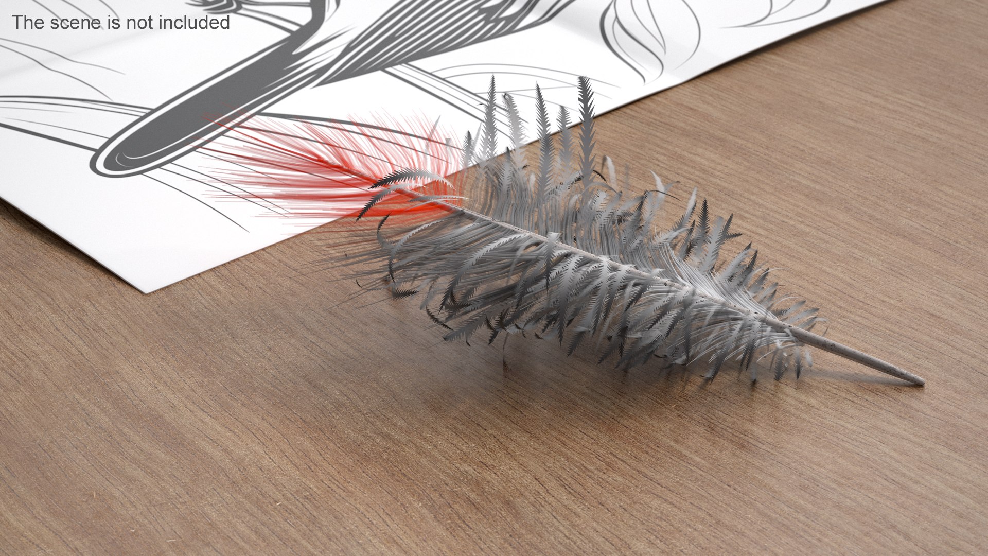 3D Northern Cardinal Feather Model - TurboSquid 2211851