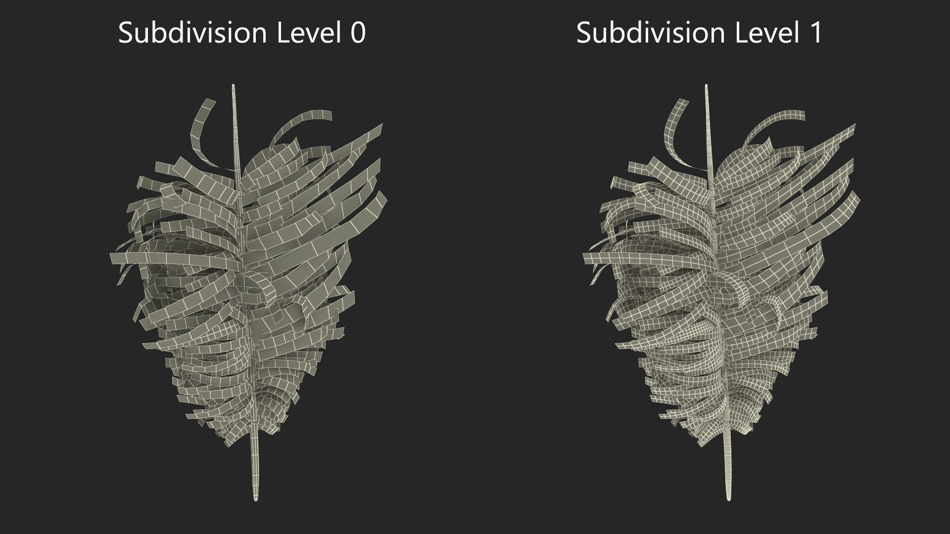 3D Northern Cardinal Feather Model - TurboSquid 2211851