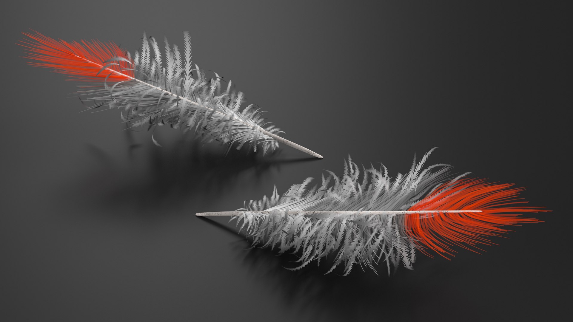 3D Northern Cardinal Feather Model - TurboSquid 2211851