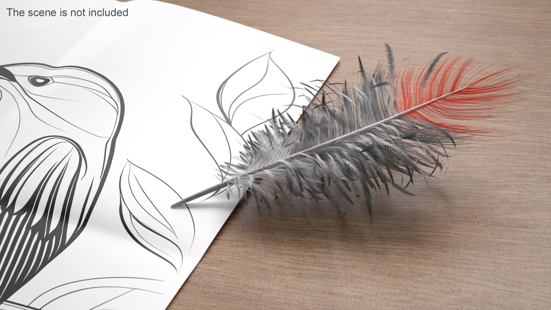 3D Northern Cardinal Feather Model - TurboSquid 2211851