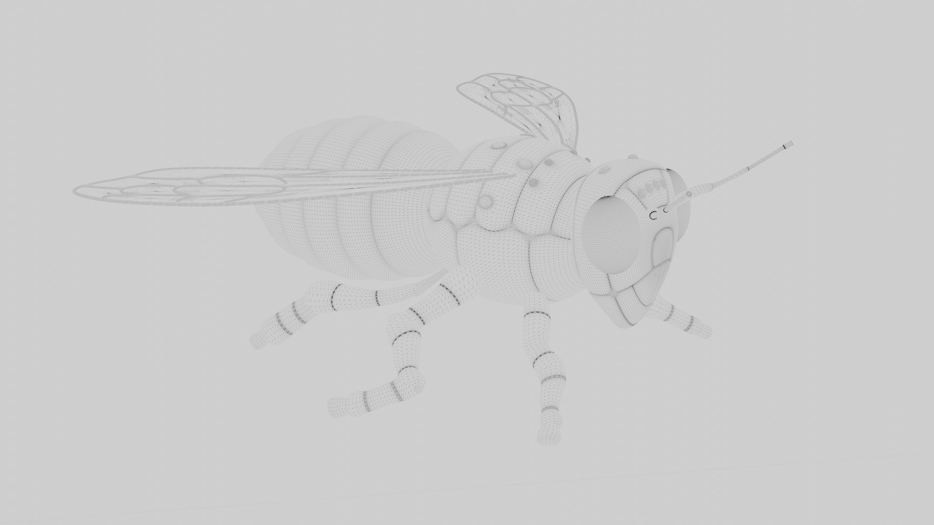 Bee Model - TurboSquid 1846022