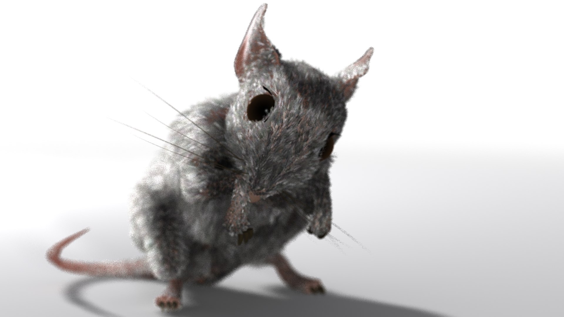 Mouse Hair Fur 3d Model
