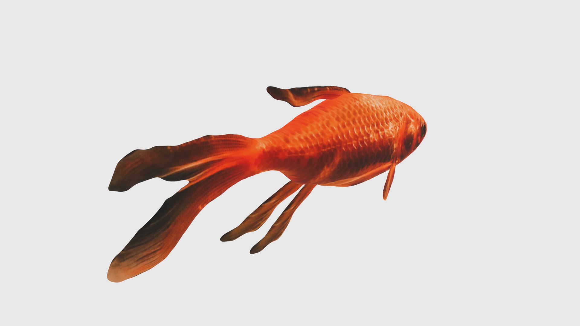 Low Poly Goldfish Rigged With Realistic Texture 3D Model - TurboSquid ...