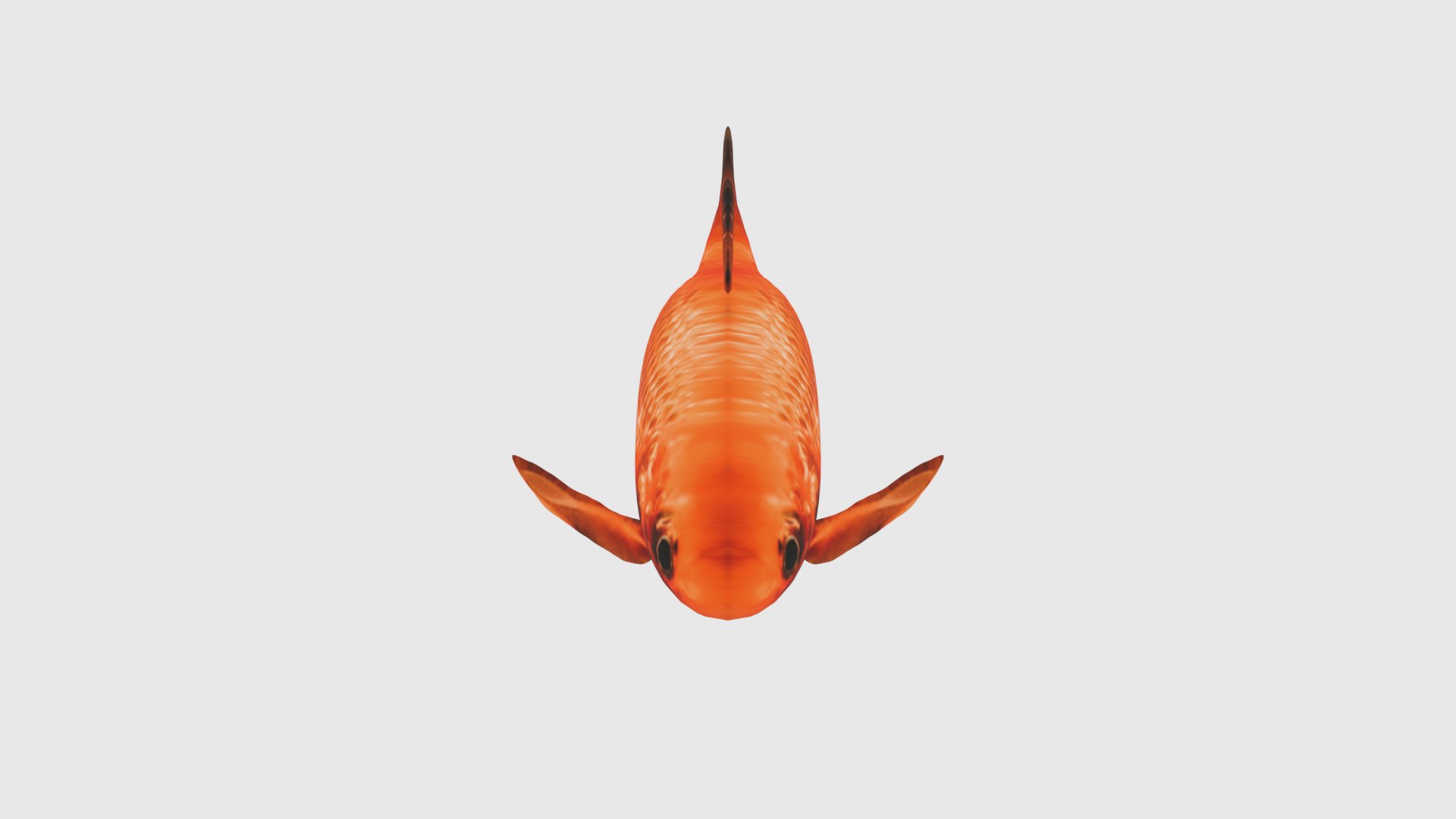 Low Poly Goldfish Rigged With Realistic Texture 3D Model - TurboSquid ...