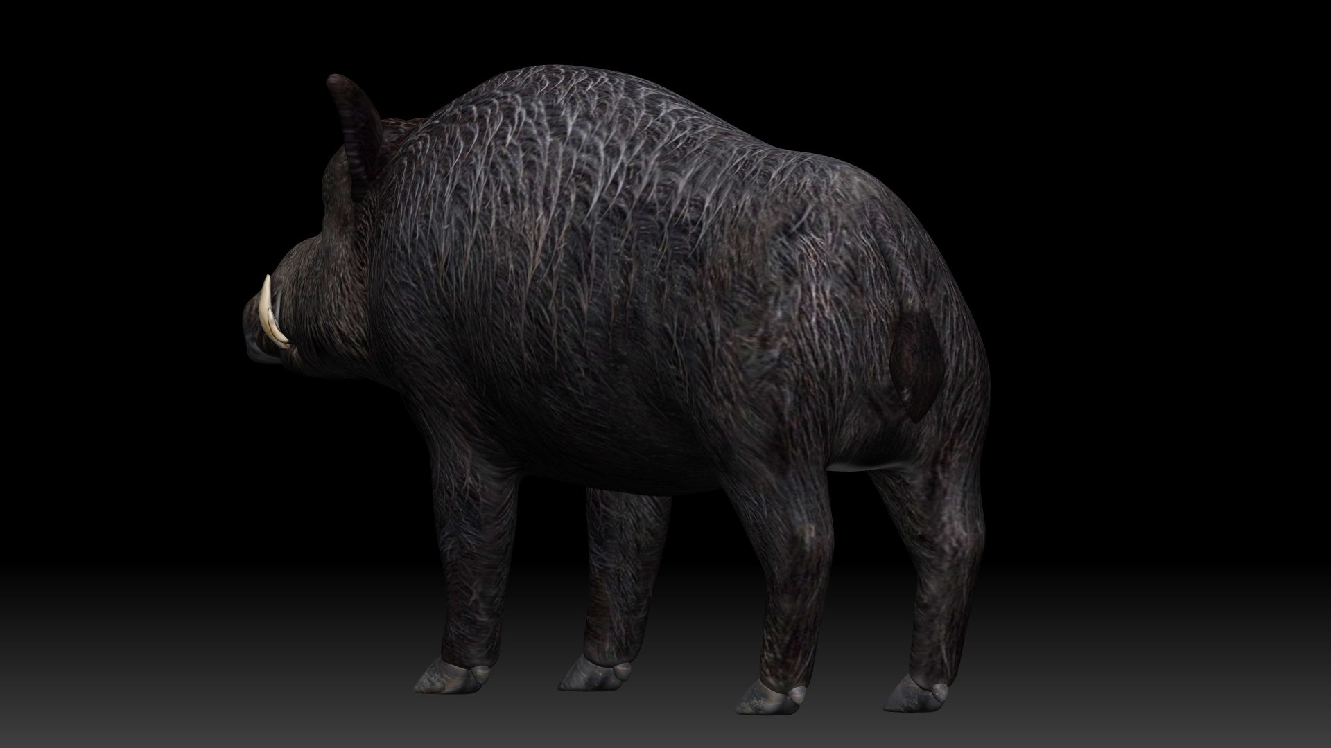 Fully Rigged Boar 3D Model - TurboSquid 1746639
