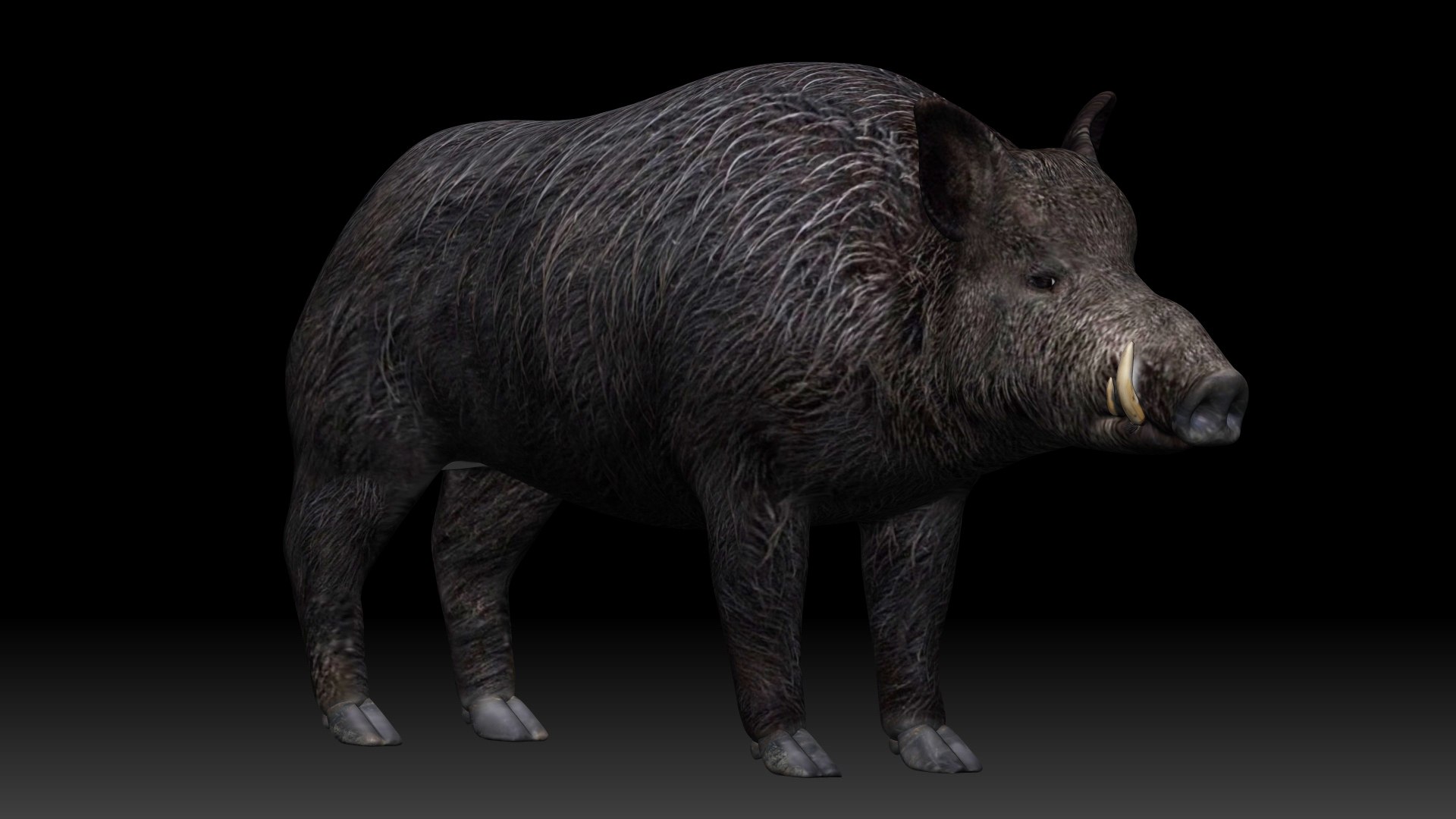Fully Rigged Boar 3D Model - TurboSquid 1746639
