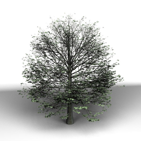 tree modo 3d x