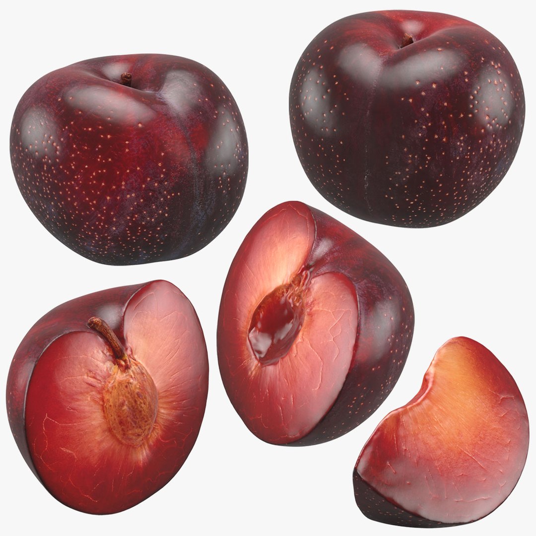 Plum Collection model - TurboSquid 2170514