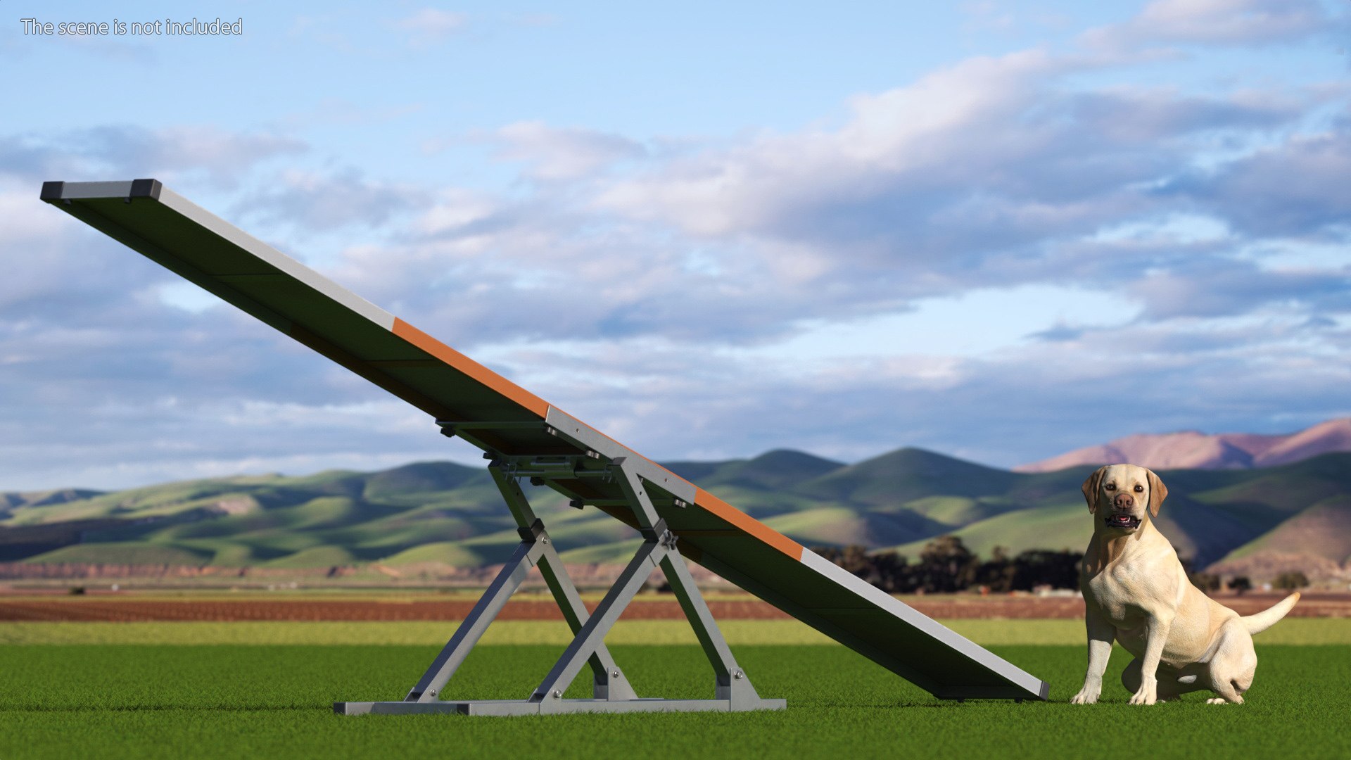 Dog Agility Teeter Totter And Labrador 3D Model - TurboSquid 2302559