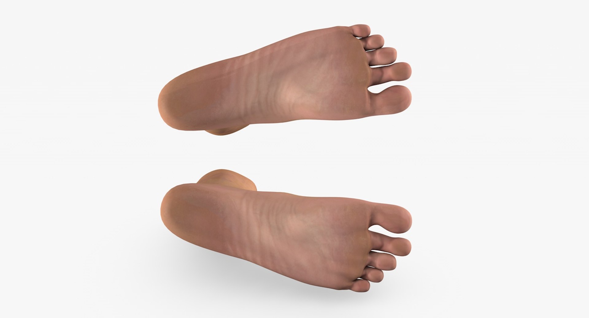 Human Feet 3D Model - TurboSquid 1215448