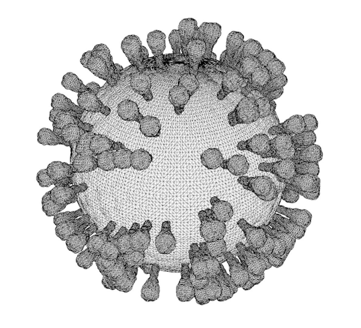 Influenza Virus Flu 3d C4d