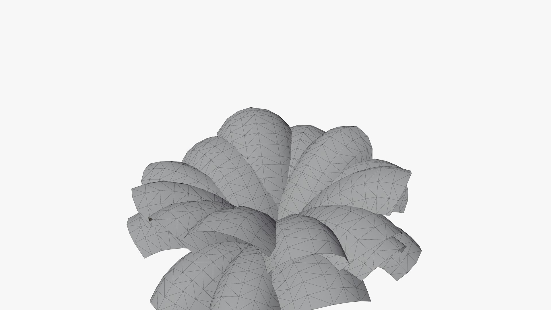 Fern 3D Model - TurboSquid 2027011