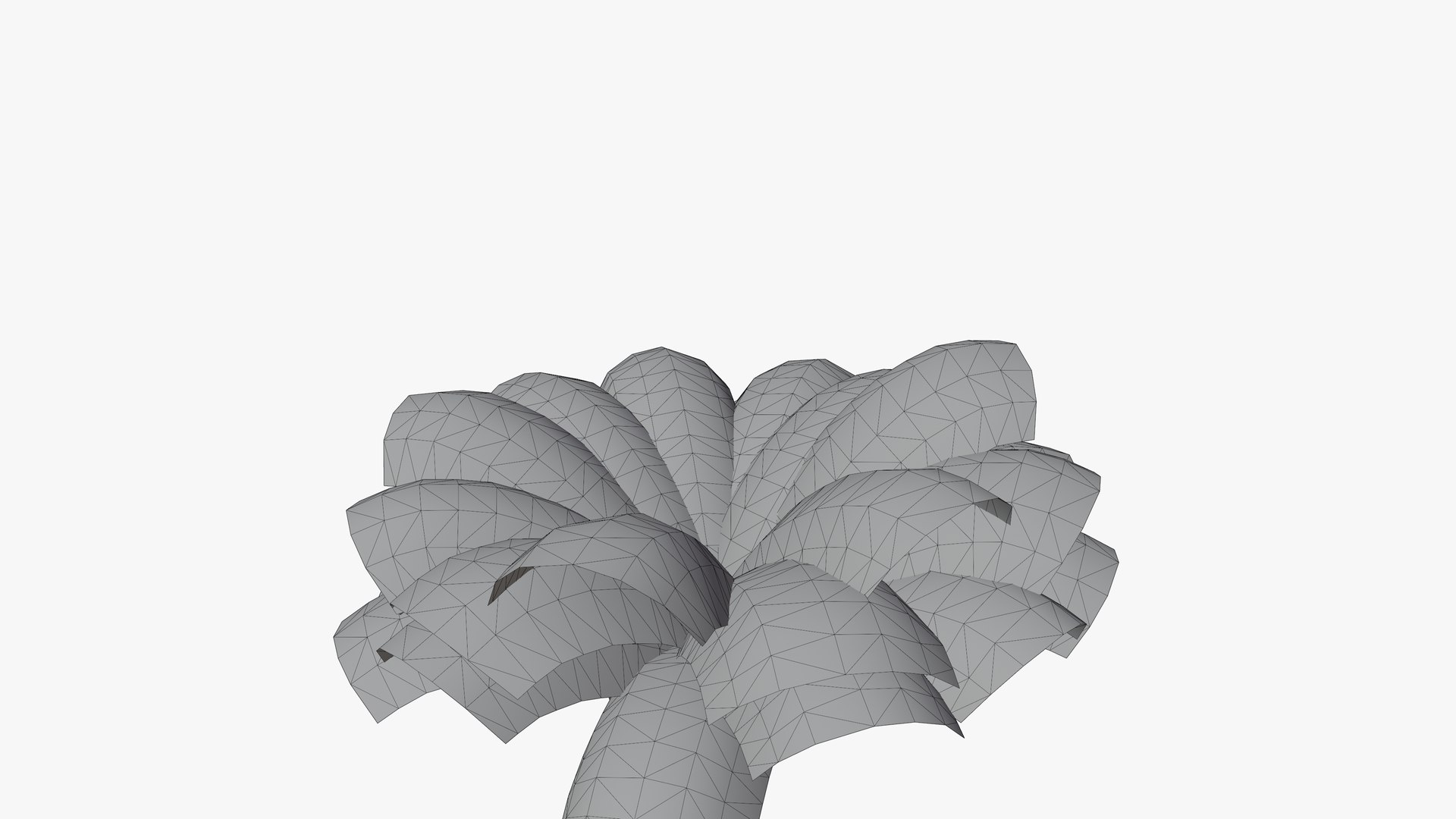 Fern 3D Model - TurboSquid 2027011