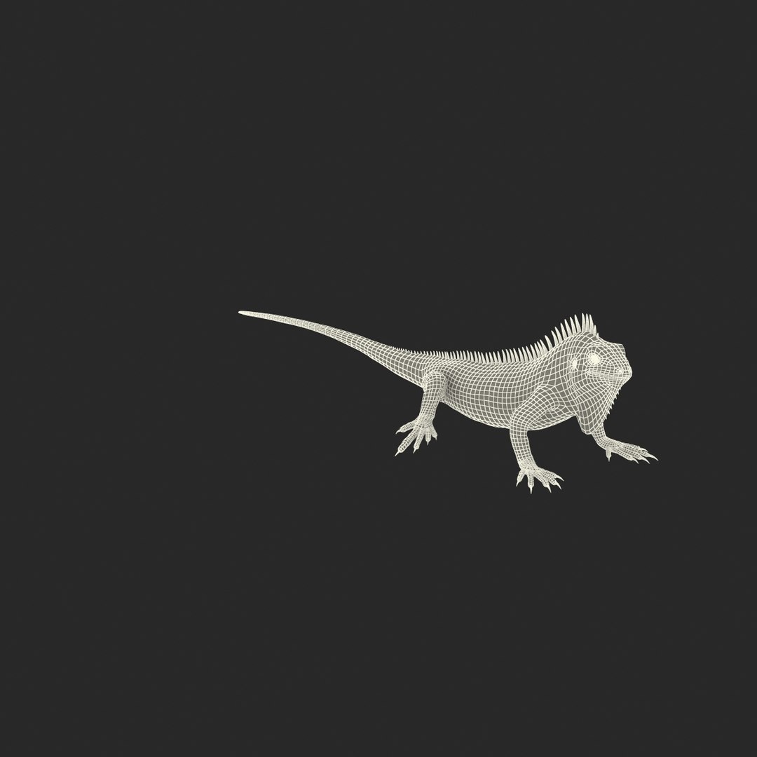 3d Model Green Iguana Pose 2