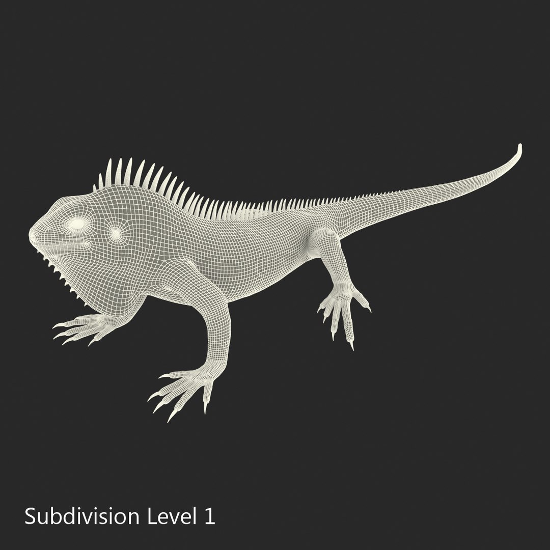 3d Model Green Iguana Pose 2