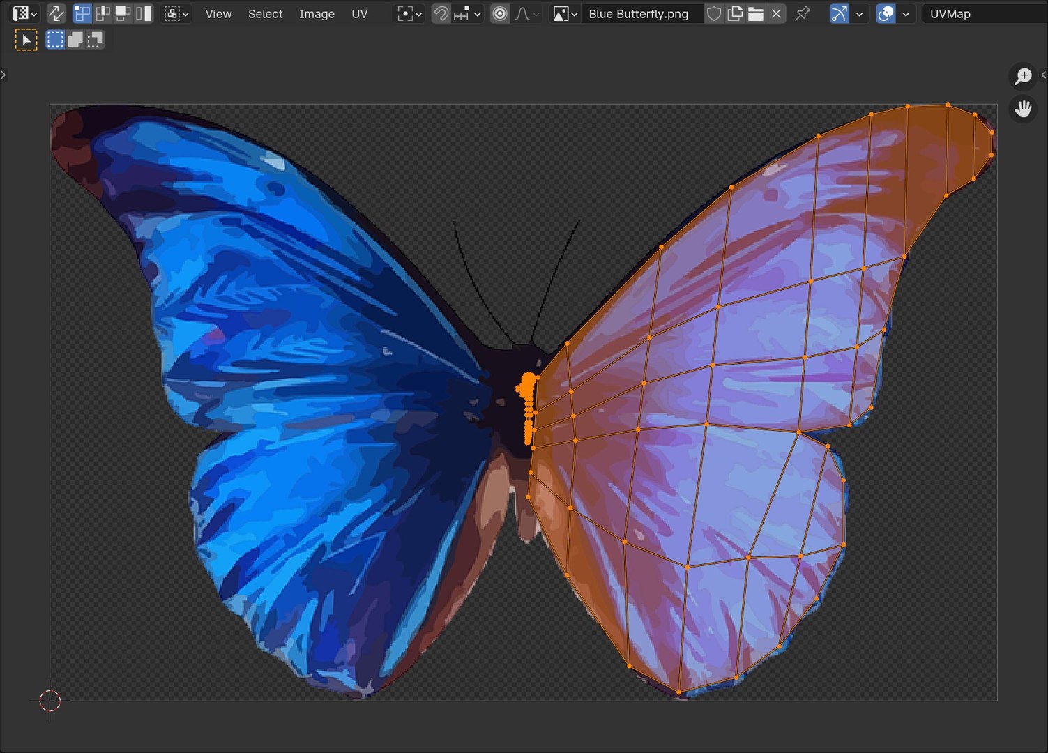 Animated Butterflies - Blender Model - TurboSquid 2221202