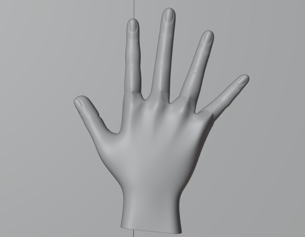 modelo 3d Modelo 3D de una mano gratis - TurboSquid 1995122