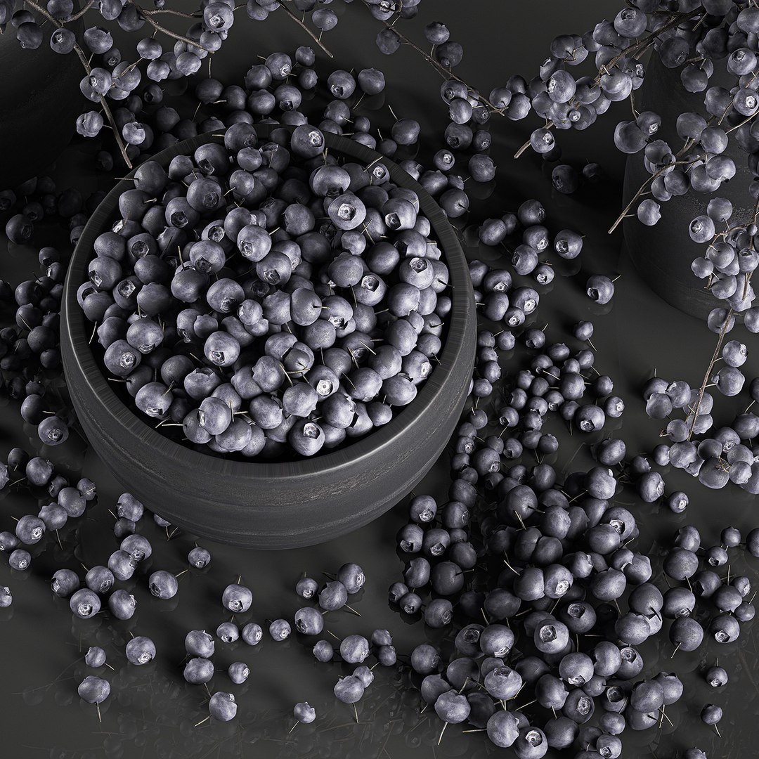 Decorative Interior Bouquet Blueberry 3D - TurboSquid 1560825