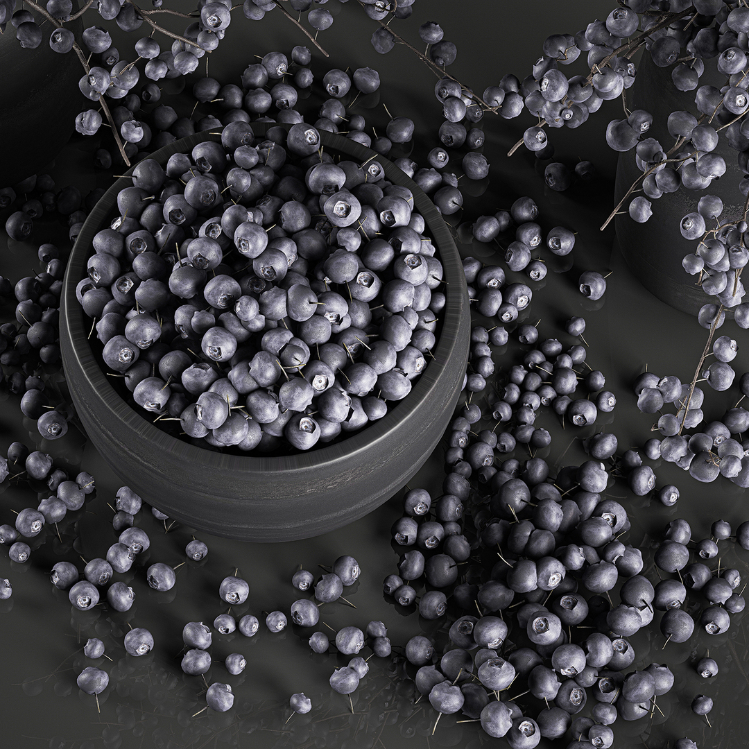 Decorative interior bouquet blueberry 3D - TurboSquid 1560825