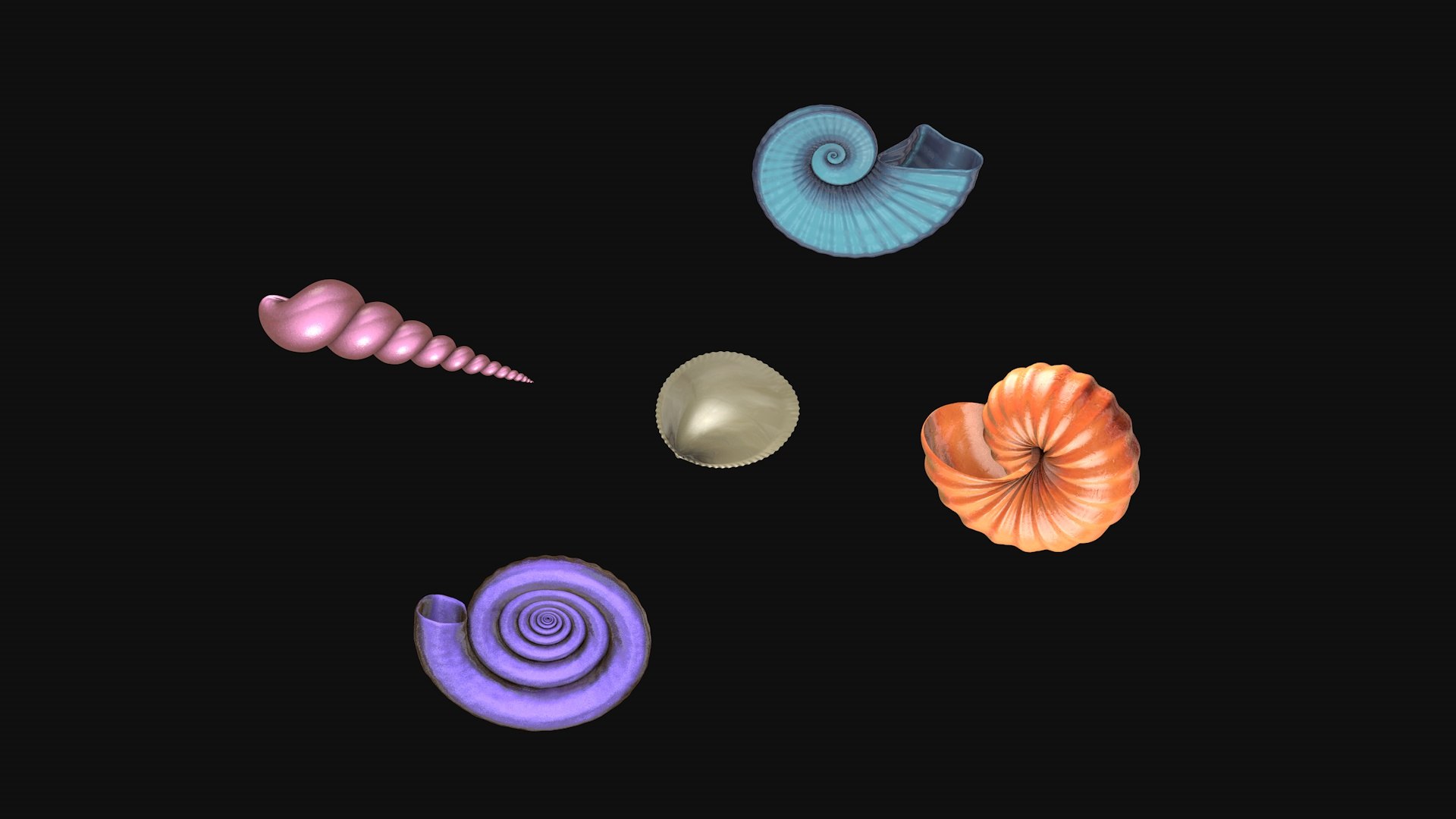 Shells And Ammonites 3D Model - TurboSquid 2357387