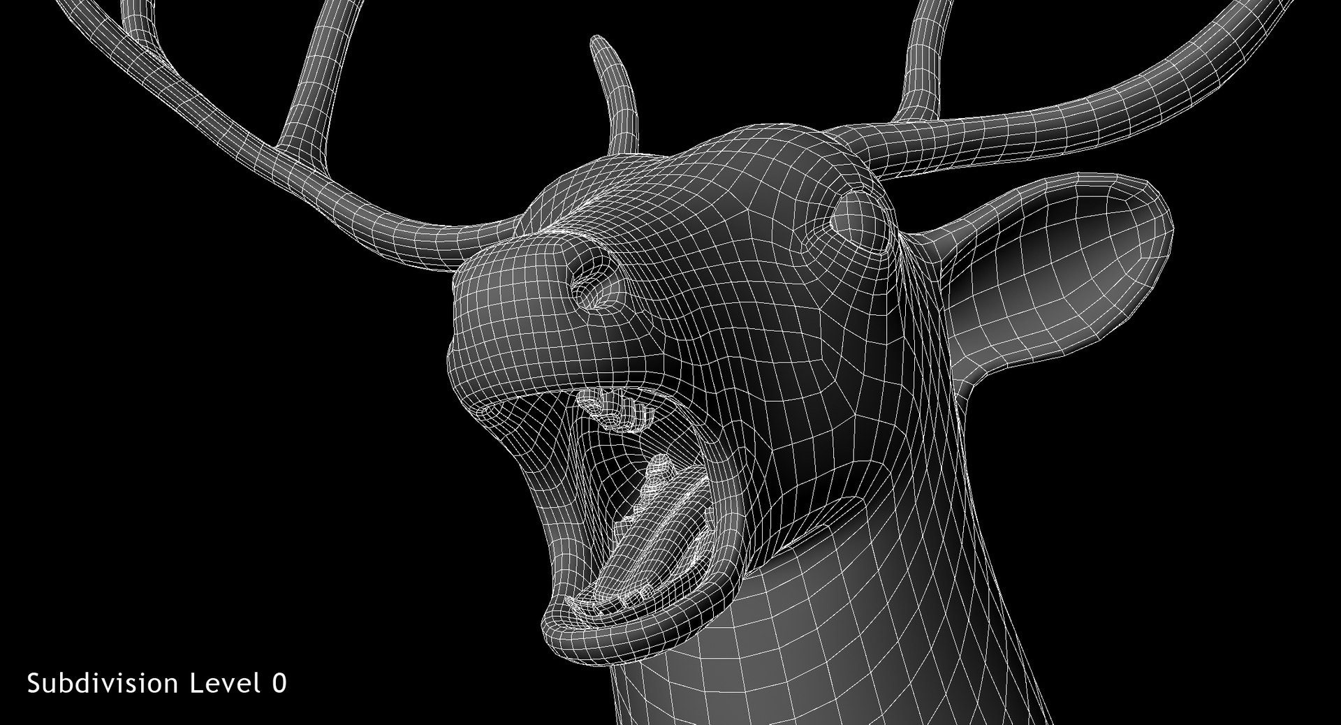 3d White-tailed Deer Tail