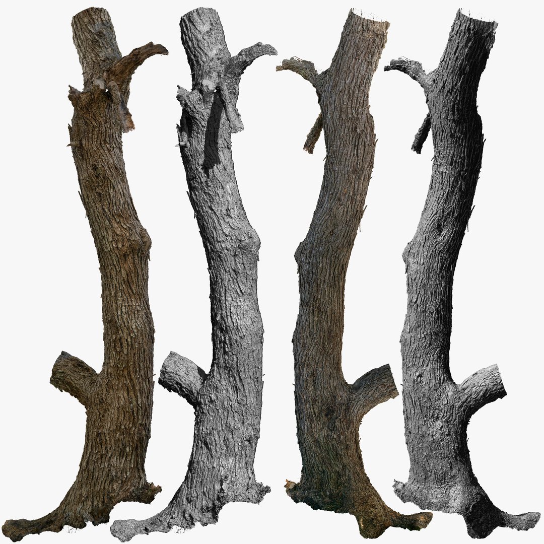 Tree Trunk 09 Scan 3 X 16k Textures 3D Model - TurboSquid 1802412