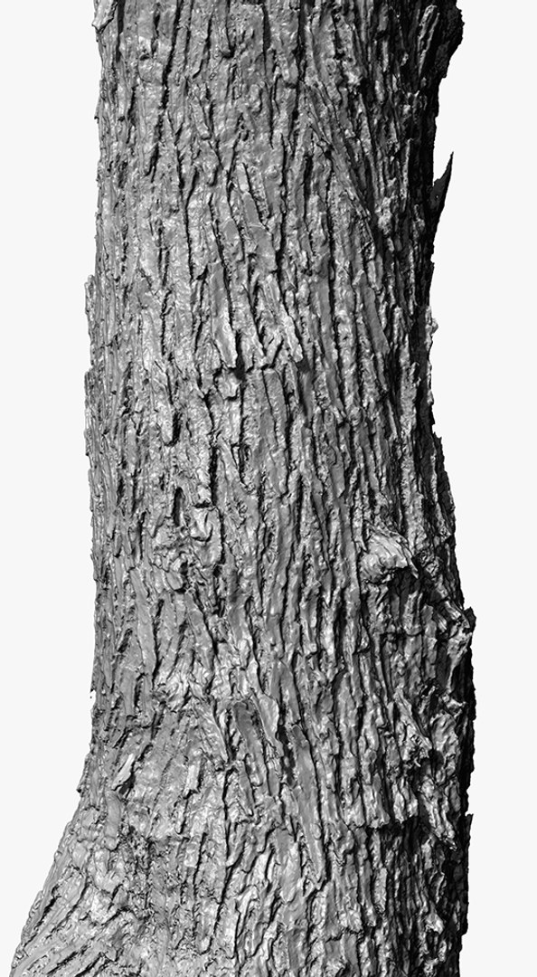 Tree Trunk 09 Scan 3 X 16k Textures 3D Model - TurboSquid 1802412