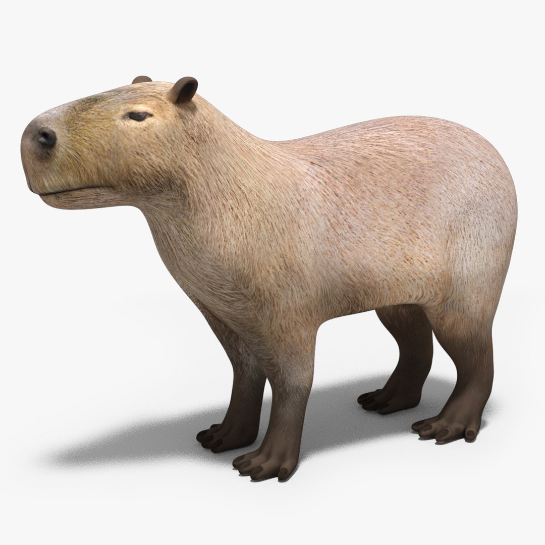 3D Capybara model - TurboSquid 2073535