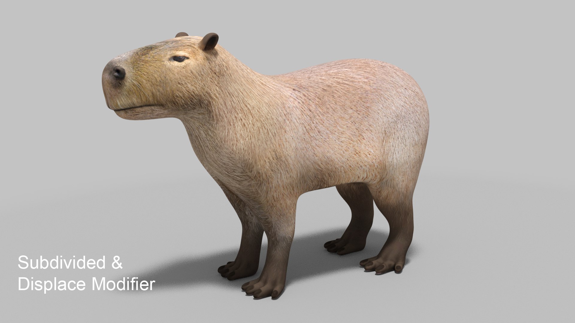 3D Capybara Model - TurboSquid 2073535