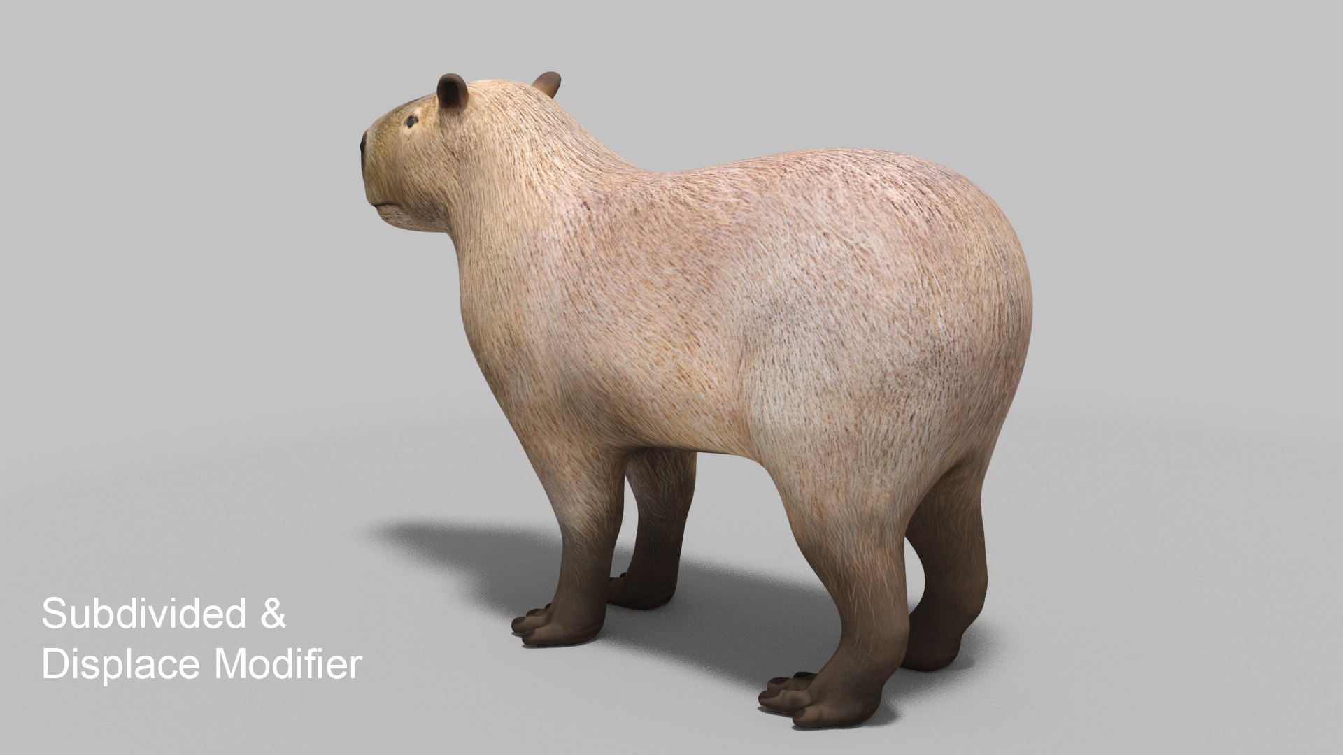 3D Capybara Model - TurboSquid 2073535