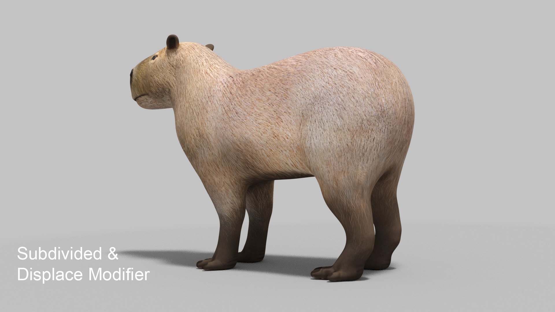 3D Capybara Model - TurboSquid 2073535