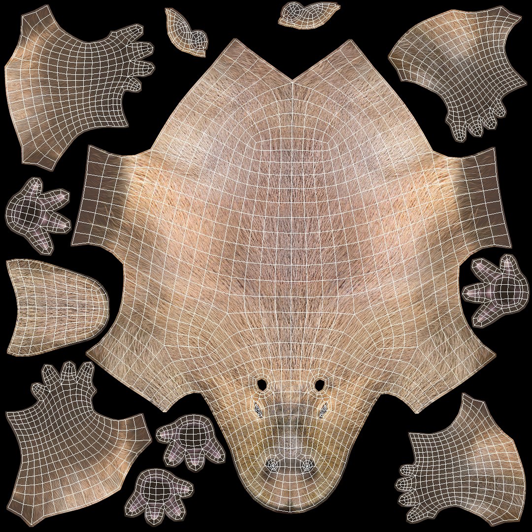 3D Capybara Model - TurboSquid 2073535