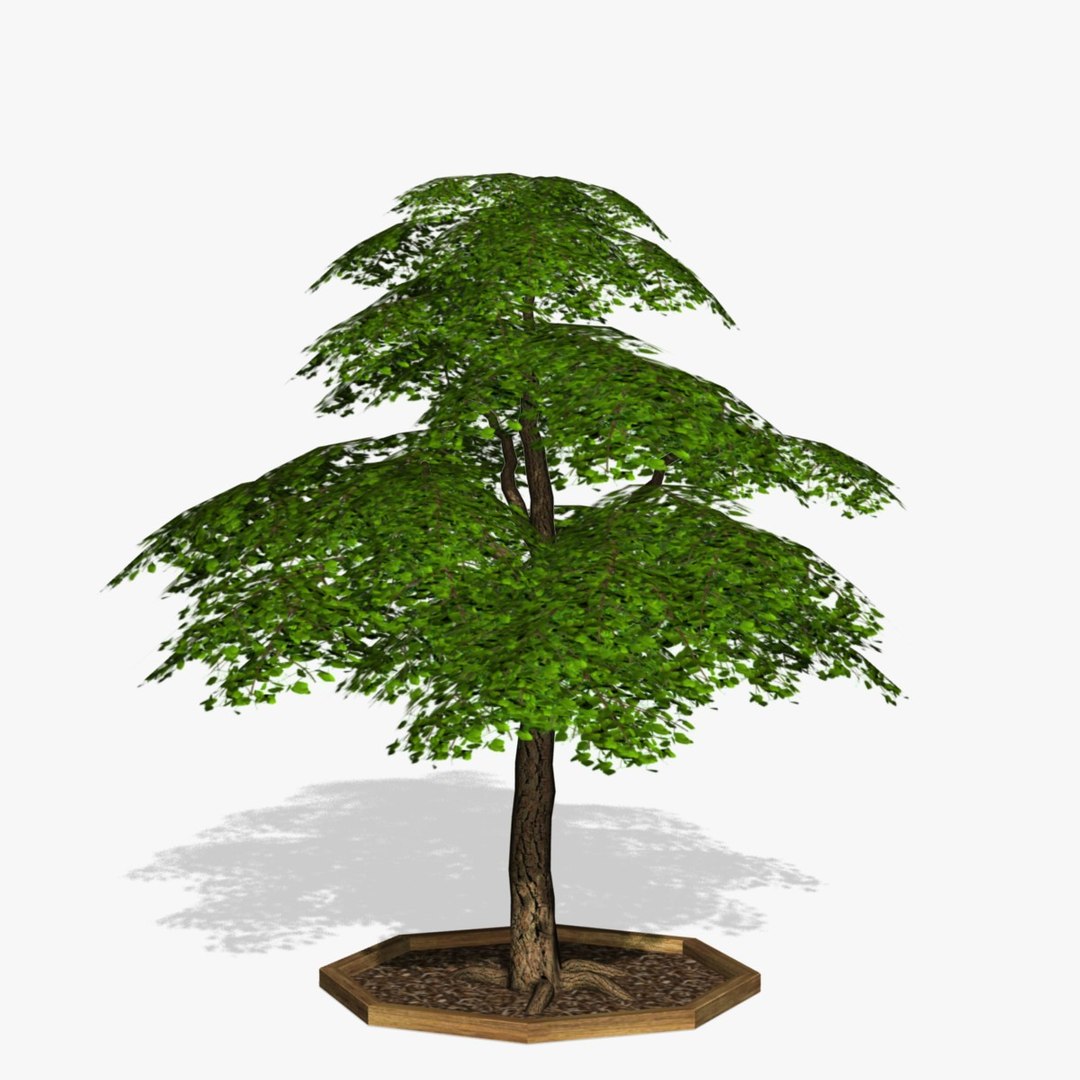 3ds Max Tree Pl