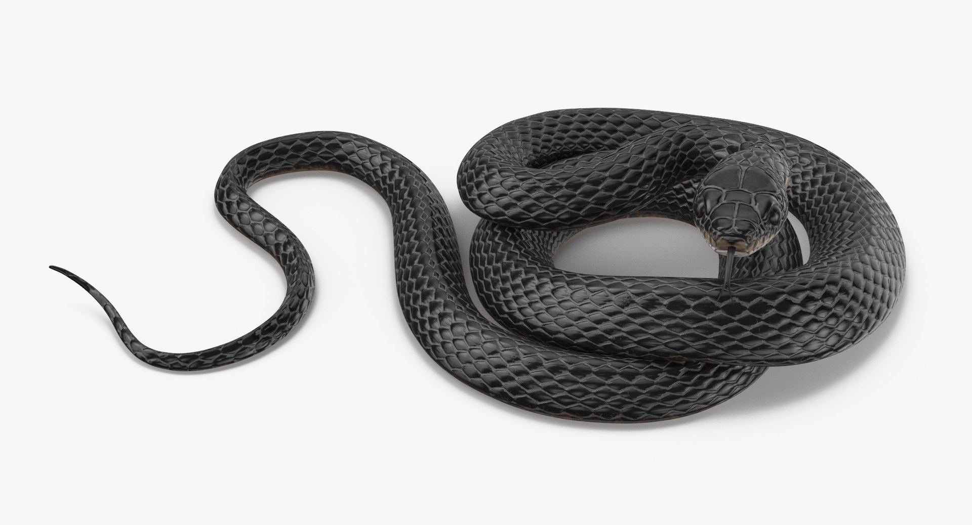 3d Black Snake 02 Model