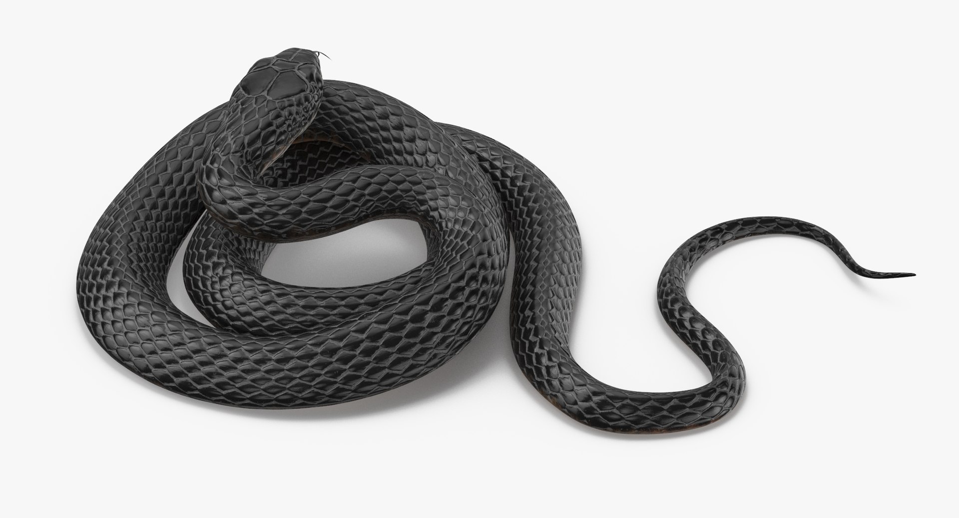3d Black Snake 02 Model