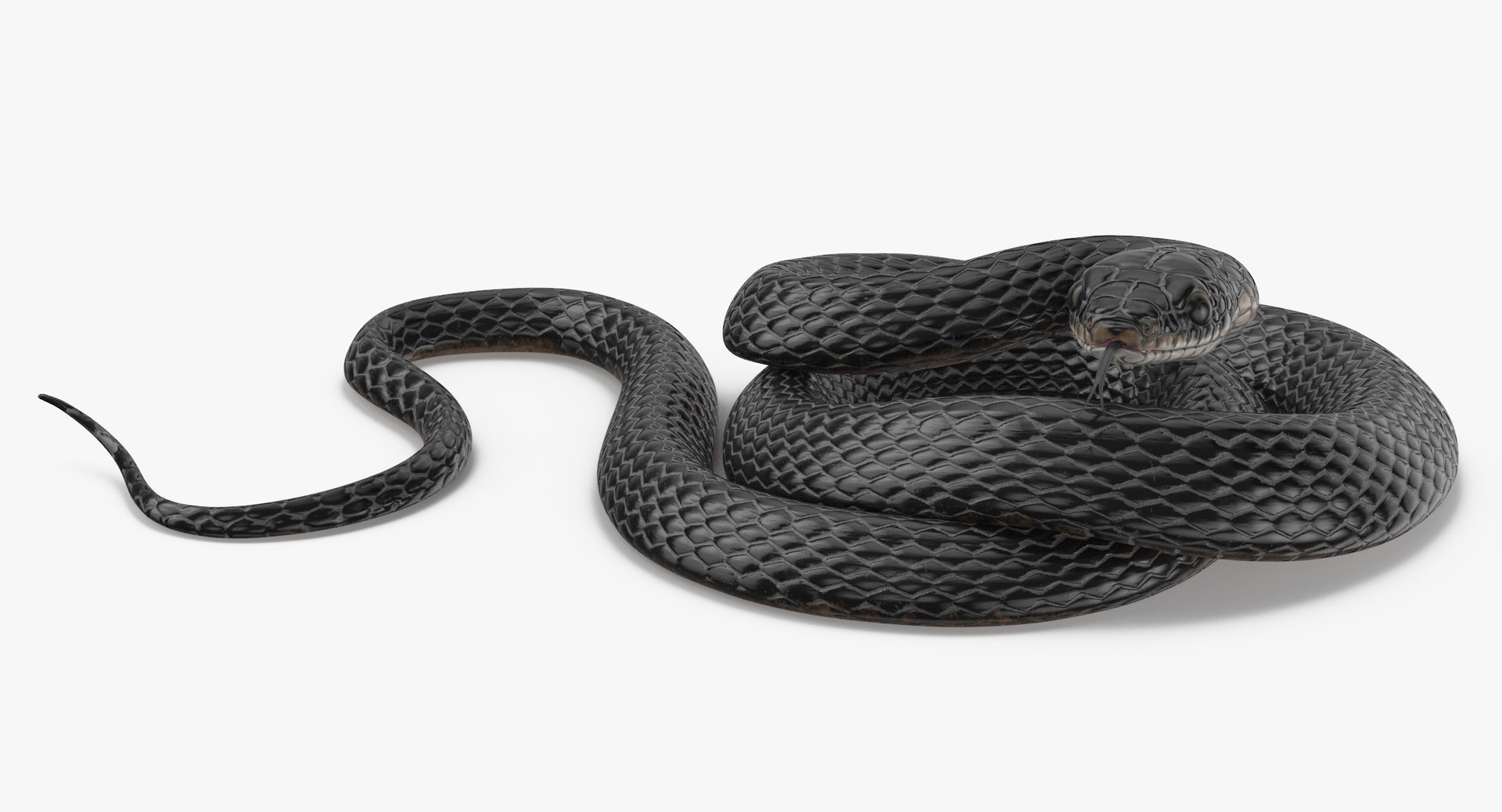 3d Black Snake 02 Model