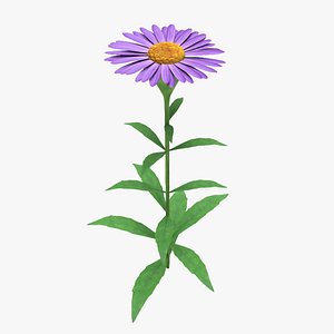 3D Aster Models - Browse & Download Formats - TurboSquid