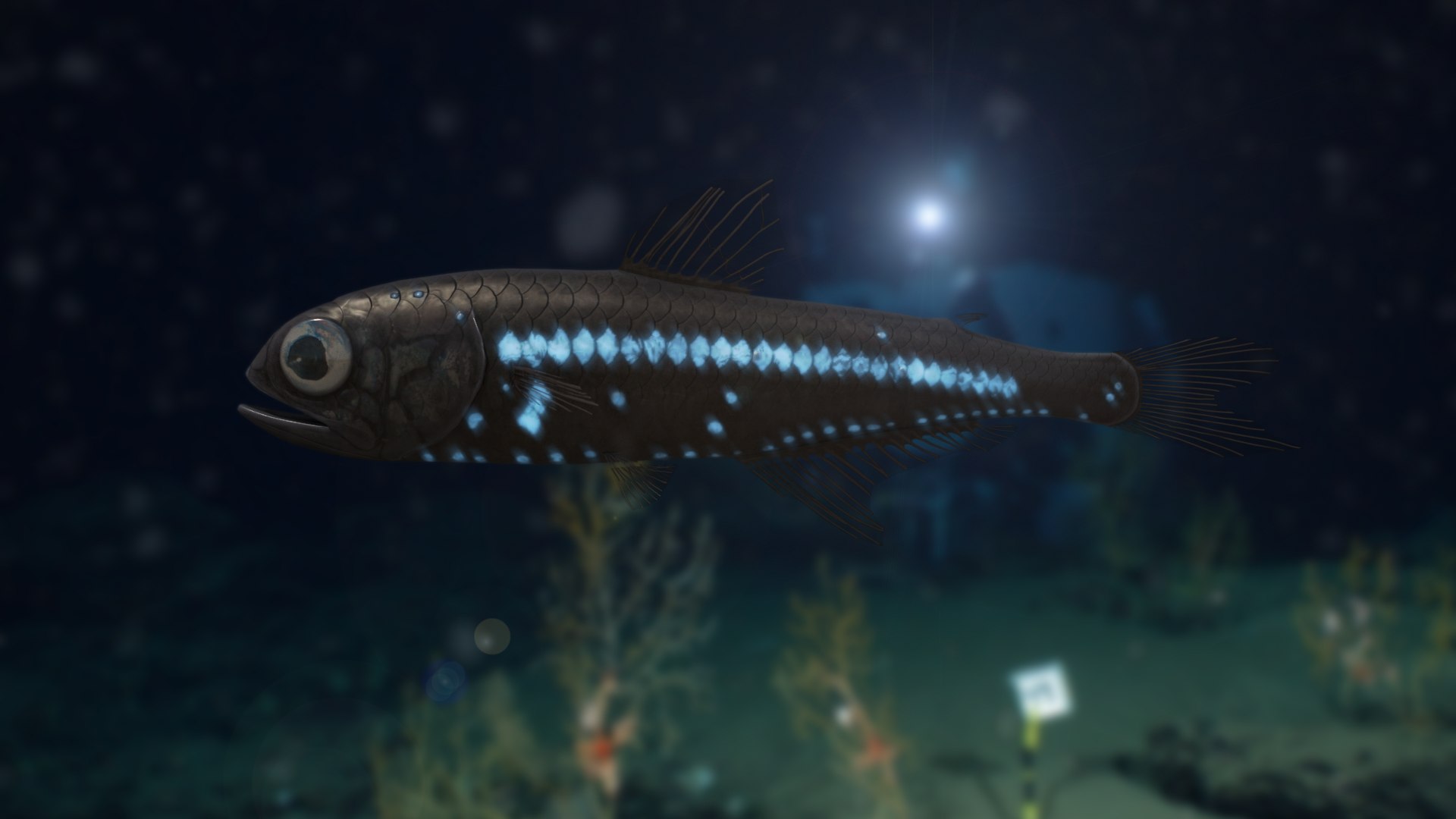 3D Model Lanternfish Pbr - TurboSquid 1463944
