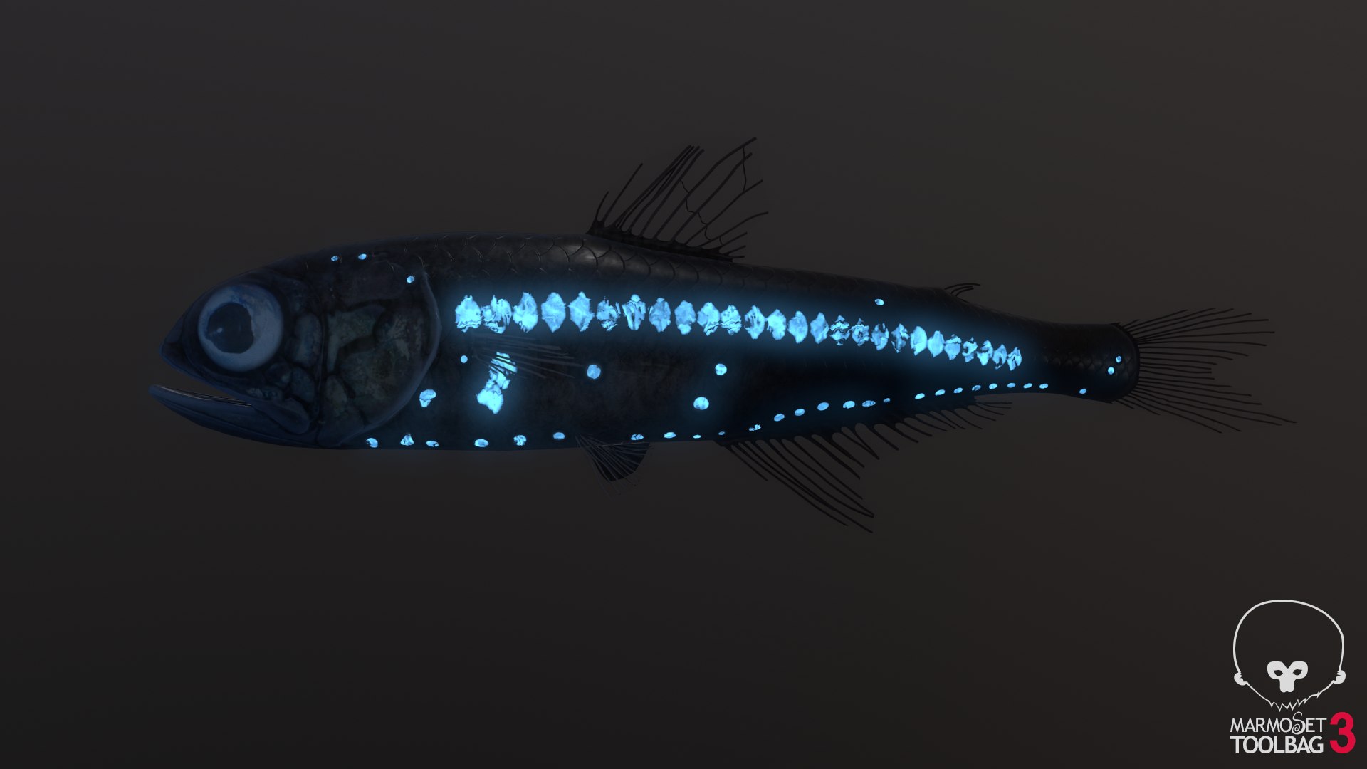 3D Model Lanternfish Pbr - TurboSquid 1463944