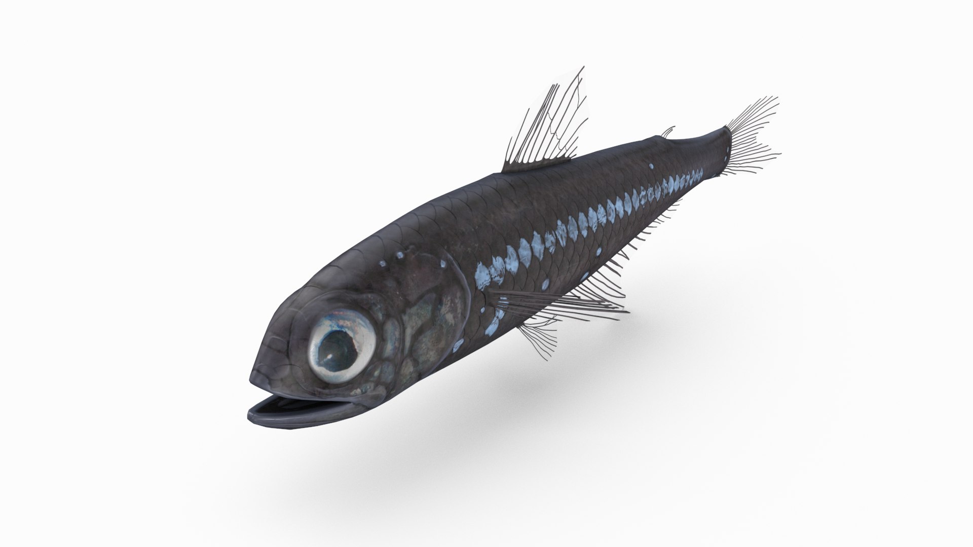 3D Model Lanternfish Pbr - TurboSquid 1463944