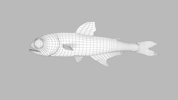 3D model lanternfish pbr - TurboSquid 1463944