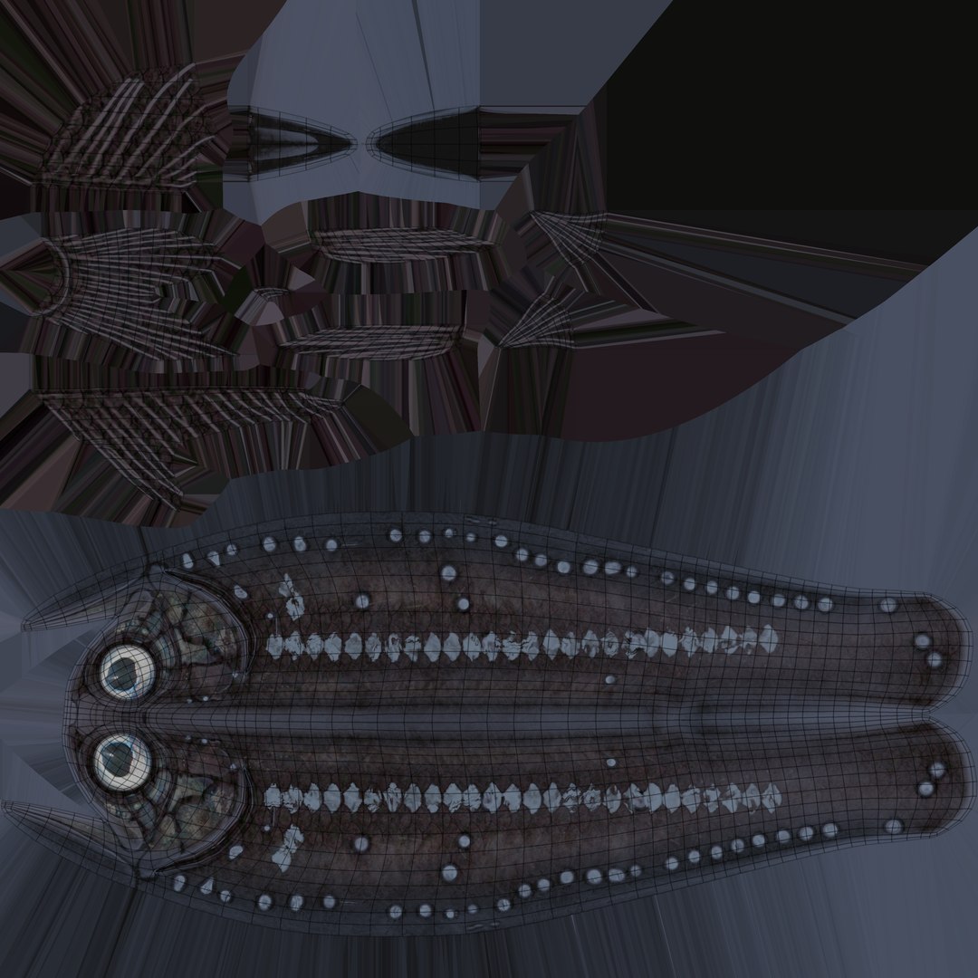 3D Model Lanternfish Pbr - TurboSquid 1463944