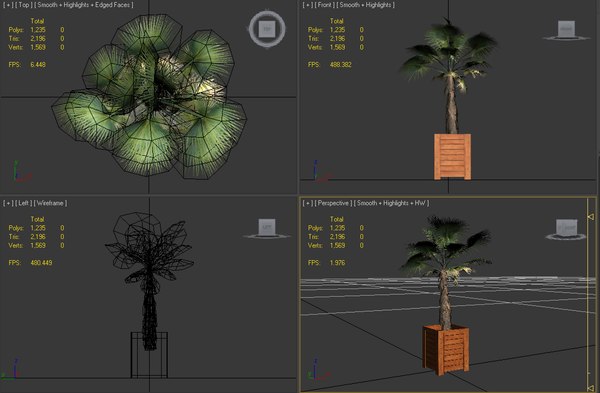 indoor outdoor plant 3d model