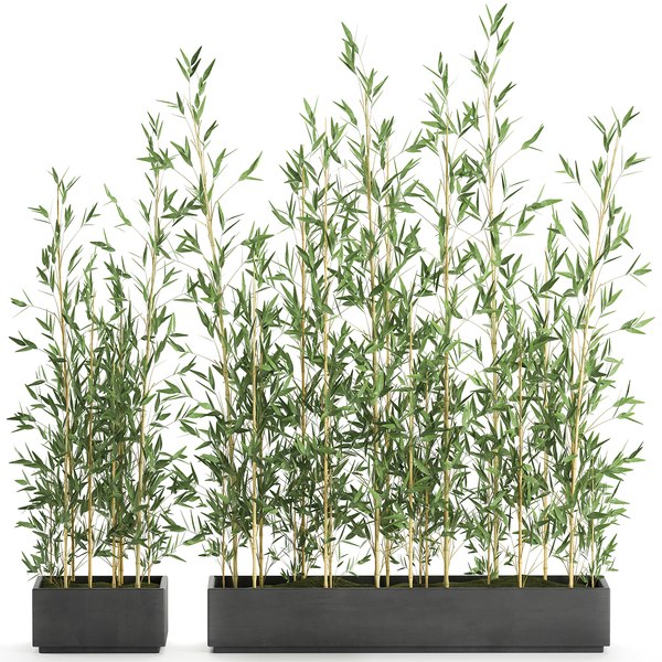 Bamboo bush interior black 3D model - TurboSquid 1575907