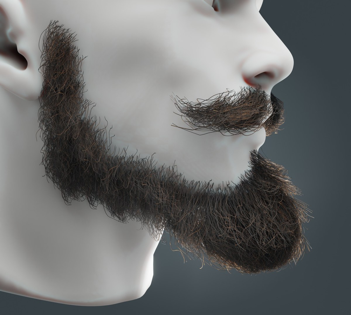 Beard RealTime 5 Version 2 3D - TurboSquid 1892334